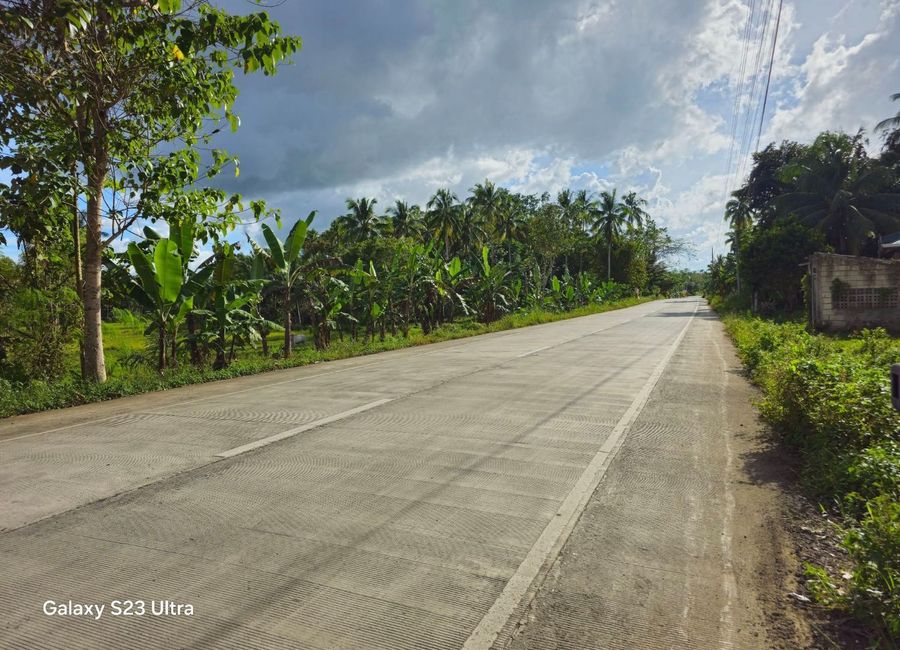Bohol lot for sale 17.5 hectares titled property along highway ...