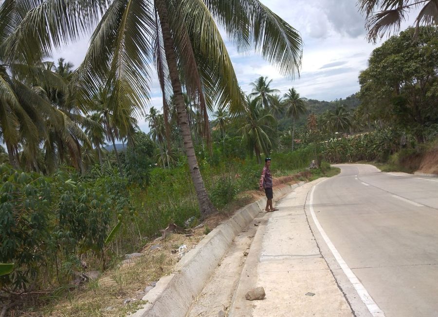 6.3-hectares Farm lot