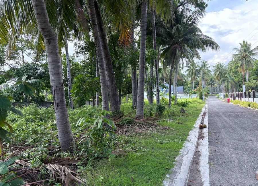 SUBDIVISION LOT FOR SALE WITH BEACH ACCESS ID 14994
