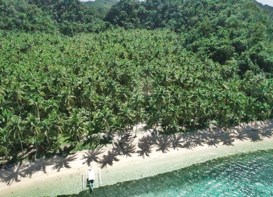 Beachfront Lot for Sale – Caub Island, Del Carmen, Siargao | 54,260 sqm ...