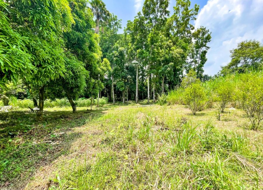 Agri-Ecotourism Lot, Corner Farm Lot in Alfonso, Cavite Near Tagaytay For Sale