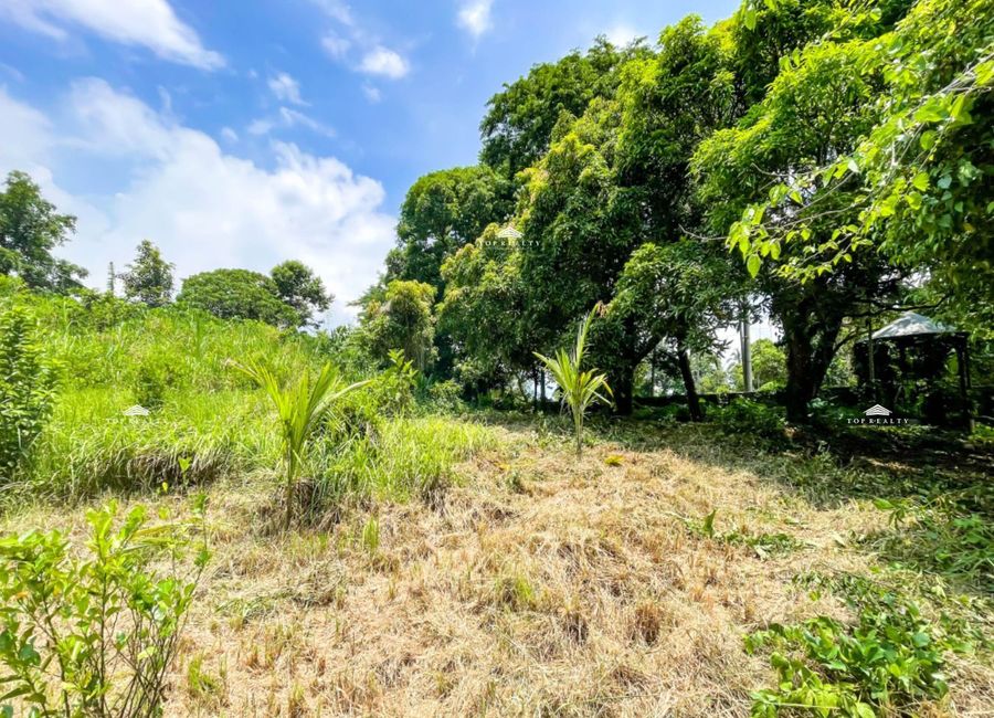 Agri-Ecotourism Lot for Sale in Alfonso, Cavite Near Tagaytay, GREAT INVESTMENT!