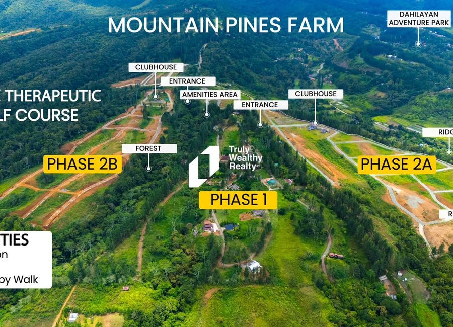 FOR SALE: Ready-for-Occupancy Lot in Mountain Pines Phase 1, Dahilayan