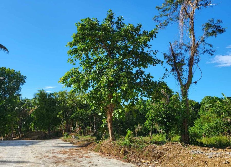 Agricultural Farm lot for sale in Alfonso, Cavite near Twin Lakes with ...