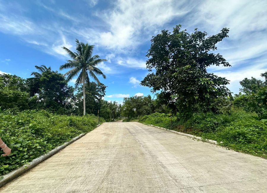 500 sq. meters Tagaytay climate with fruit bearing trees located at ...