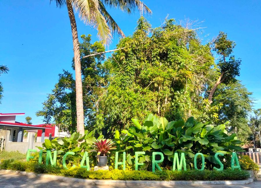 500 sq. meters Tagaytay climate with fruit bearing trees located at ...