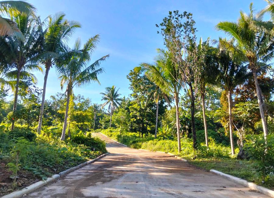 500 sq. meters Tagaytay climate with fruit bearing trees located at ...