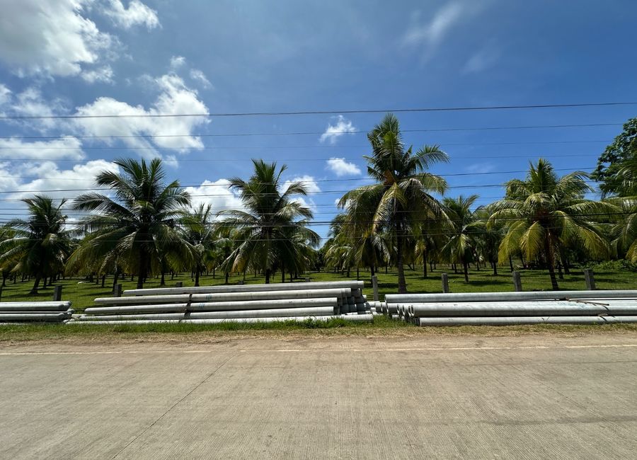 10 Hectares Along the National Highway located in Bolod, Panglao, Bohol