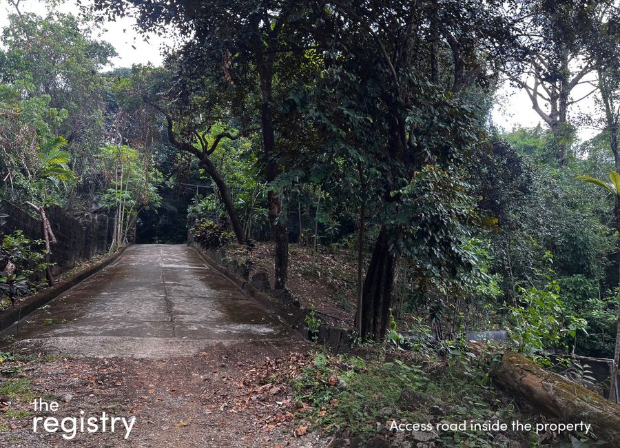 Elevated Lot in Beverly Hills Ortigas Ext Taytay (perfect for resort)
