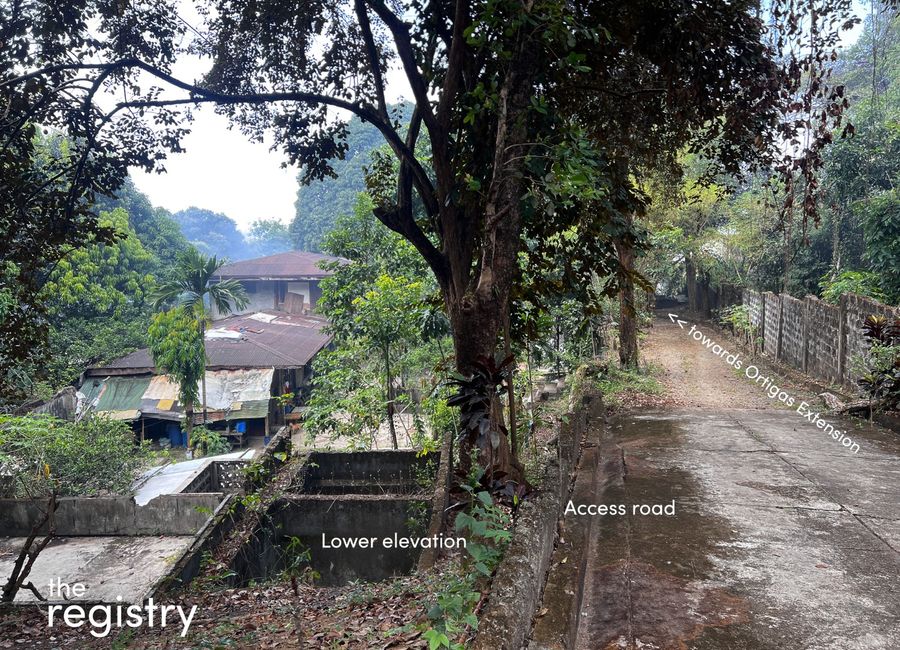 Elevated Lot in Beverly Hills Ortigas Ext Taytay (perfect for resort)
