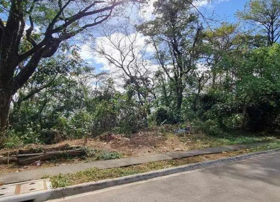Lot for Sale at Forest Farms, Havila, Angono, Rizal