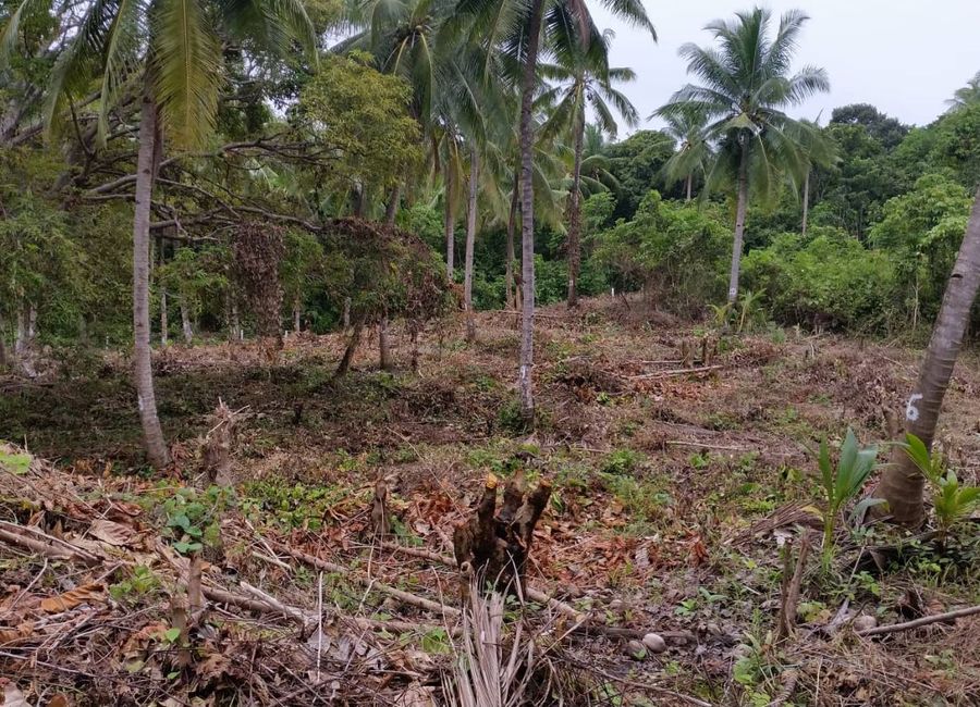 AGRI-SEASHORE BEACH FRONT – ABORLAN PALAWAN
