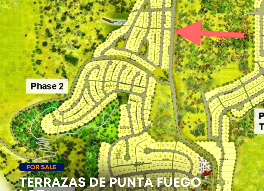 TERRAZAS DE PUNTA FUEGO LOT
