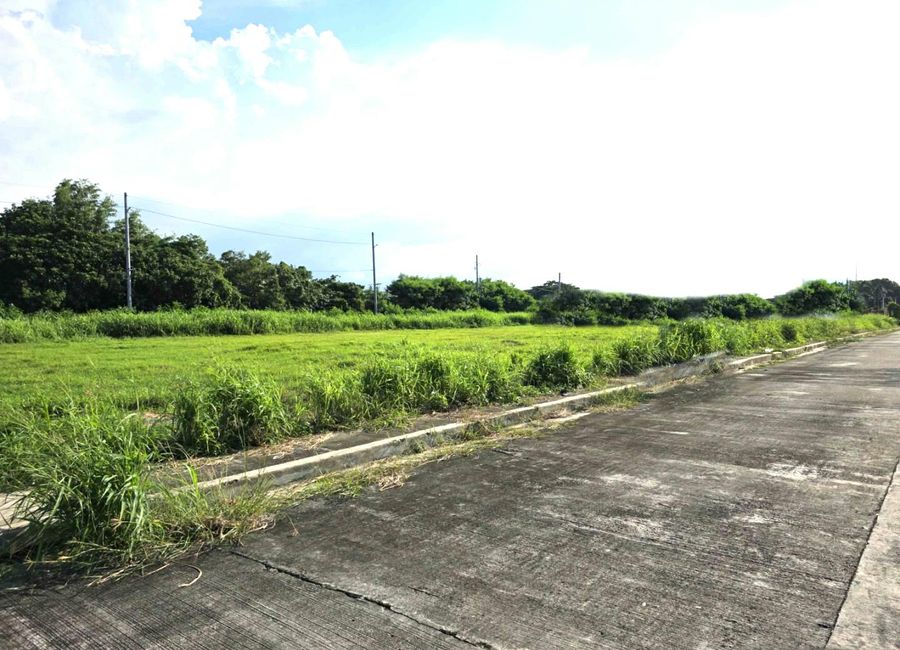 Dasmarinas City Cavite Residential Lot for Sale with 2 roads back to ...