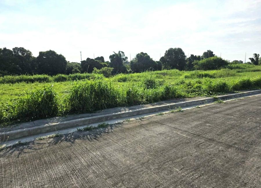 Dasmarinas City Cavite Residential Lot for Sale with 2 roads back to ...