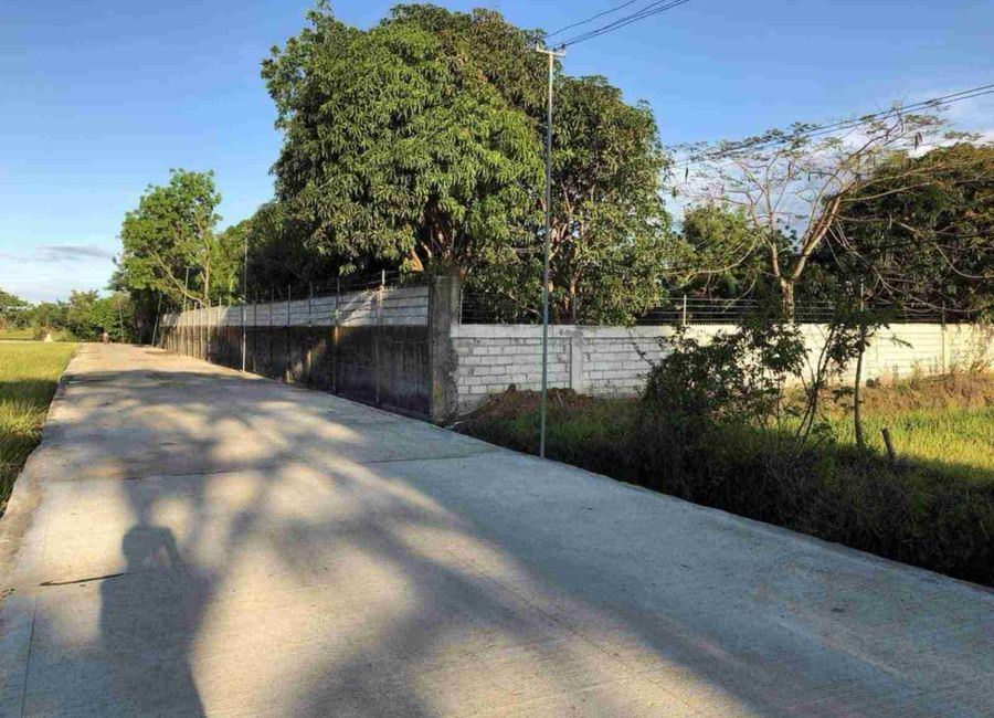 Bulacan Constructed Farm For sale