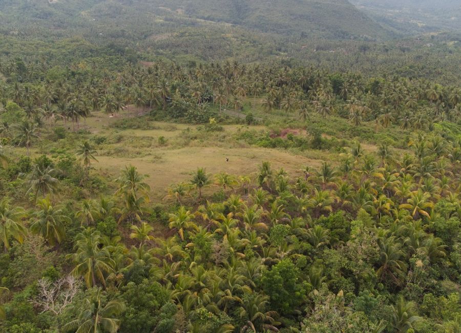 Over Looking Farm Lot