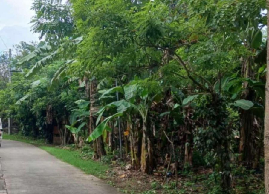 For Sale: Agri Lot located at Brgy Bulacnin Lipa City Batangas