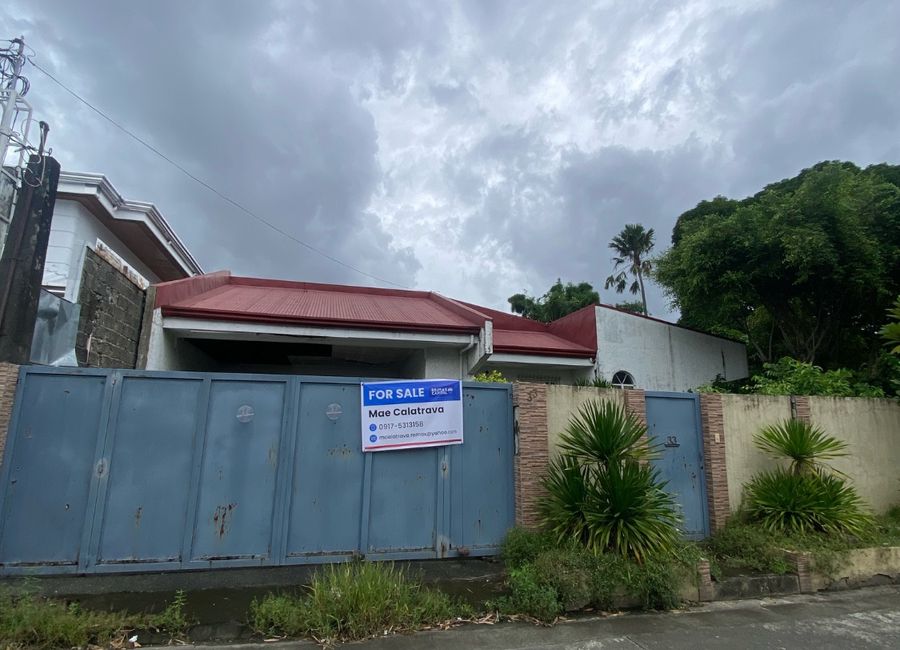 Prime Residential Lot with old house in Multinational Village Parañaque