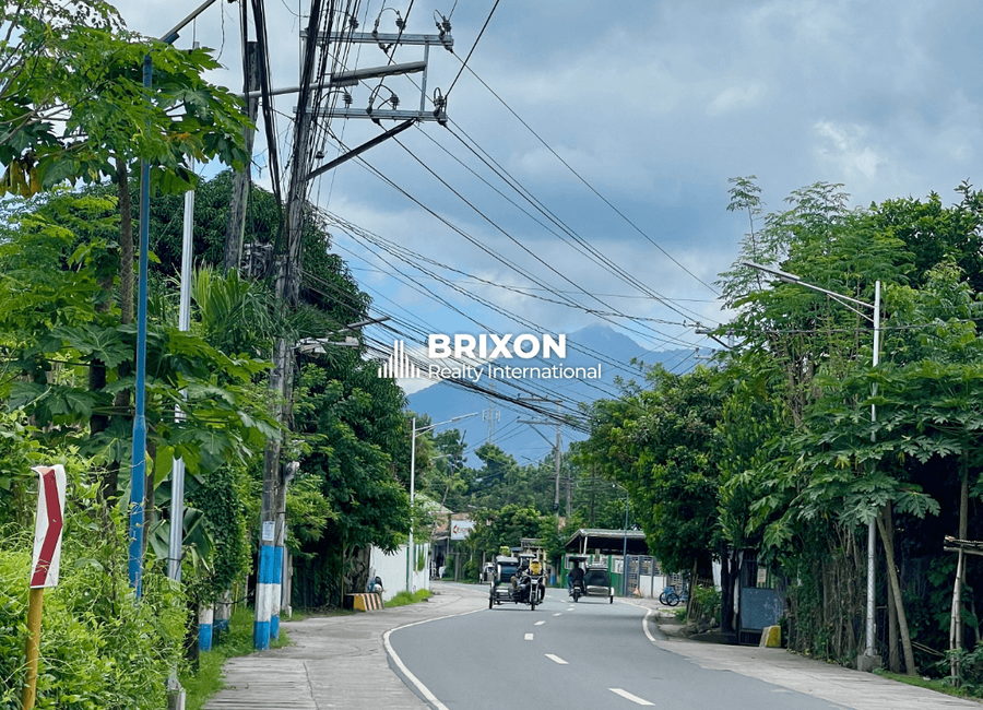 For Sale: 7.4-hectare Prime Residential Subdivision Lot in Magalang ...