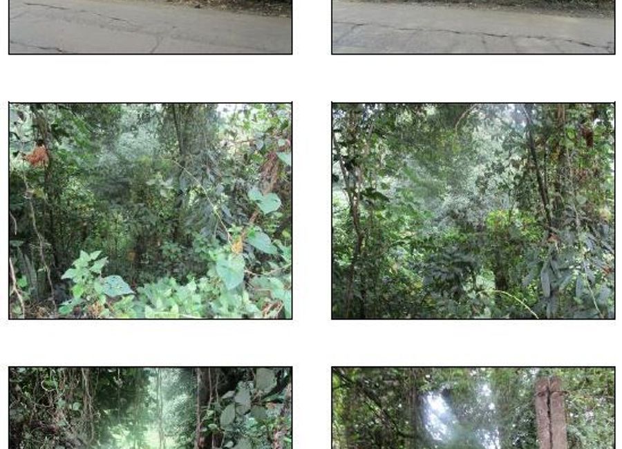 257 sqm Lot for Sale in San Roque Teresa Rizal