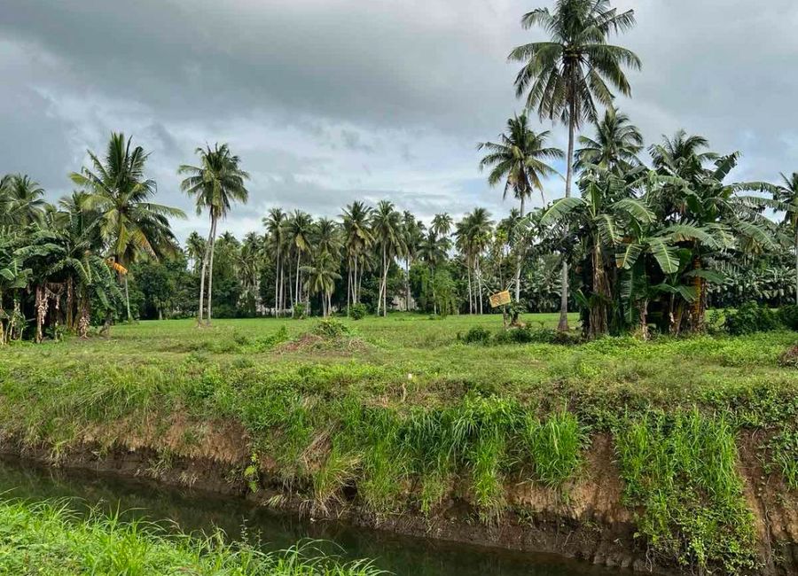 Prime 32-Hectare Agricultural Property | Tiaong, Quezon – Ideal for ...