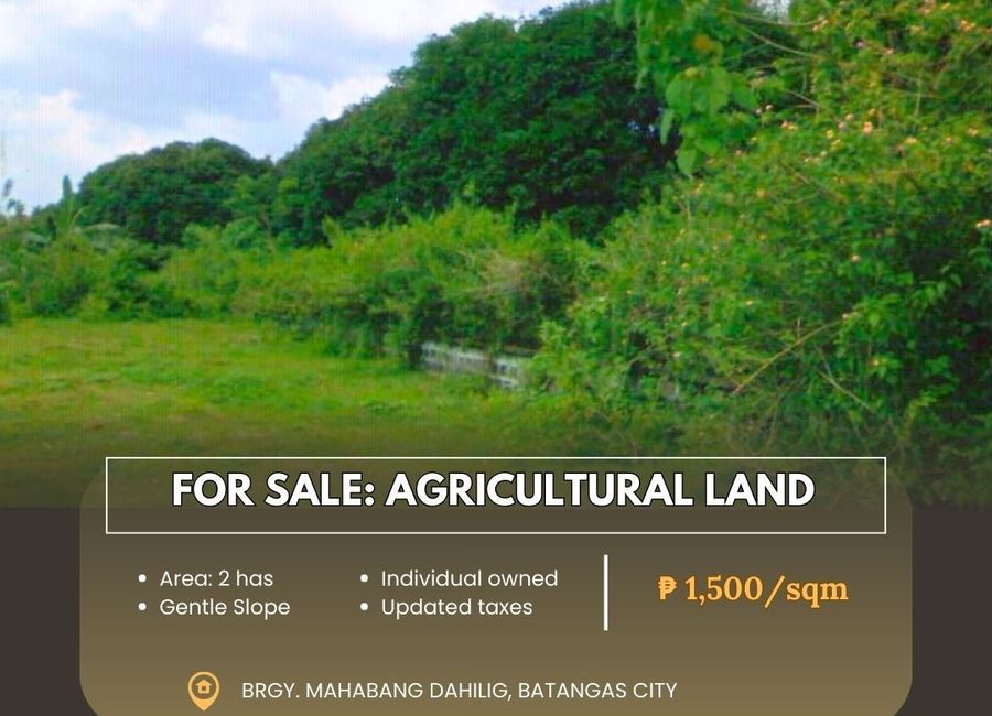 For Sale: Agricultural Land located at Brgy. Mahabang Dahilig, Batangas ...
