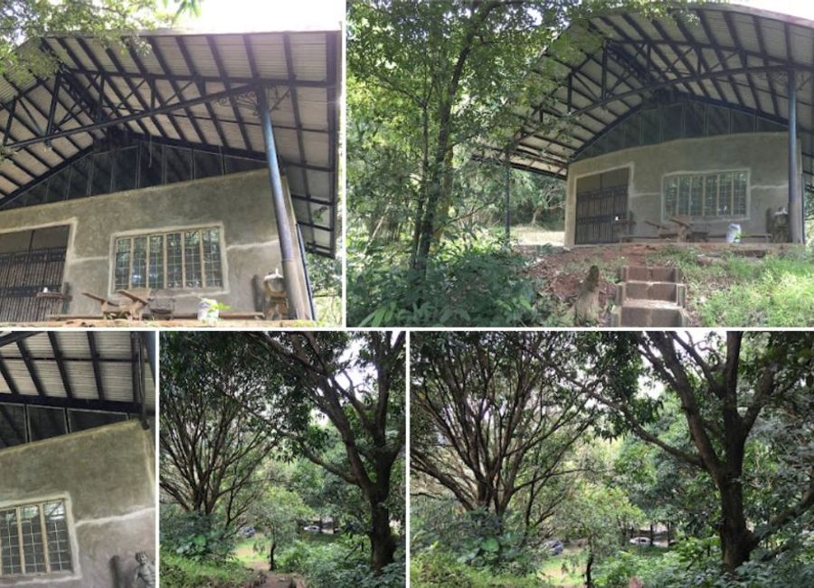4.2 HECTARES FARM LOT IN BARAS RIZAL