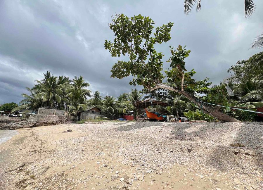 Beach Lot property along national Road near Bato port ideal for Beach ...