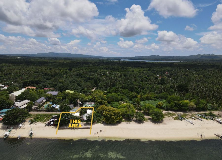 White Sand Beachfront Lot For Sale San Francisco Camotes Island Cebu