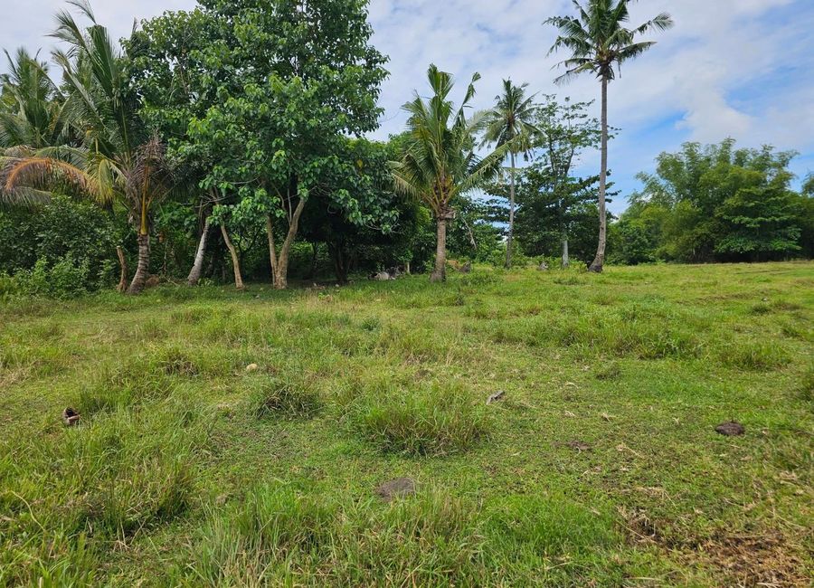 Bohol lot for sale at President Carlos P. Garcia Bohol also known as ...