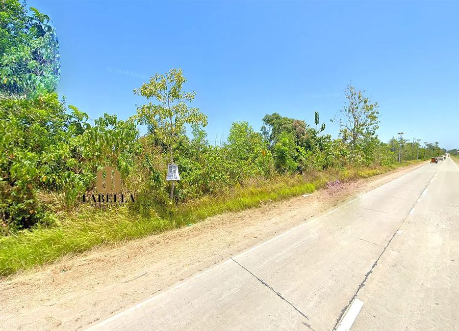 8,647 sqm Lot for Sale- Camambugan, Ubay
