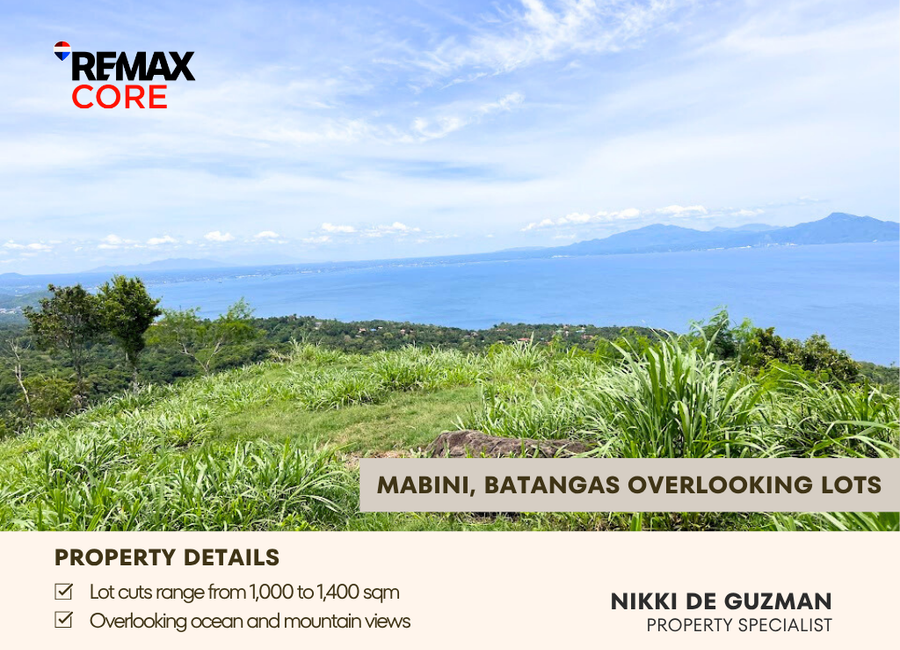 For Sale: Overlooking Mountain-Side Lots, Mabini, Batangas
