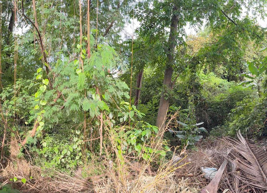 Blue Ridge A Katipunan QC vacant lot for sale