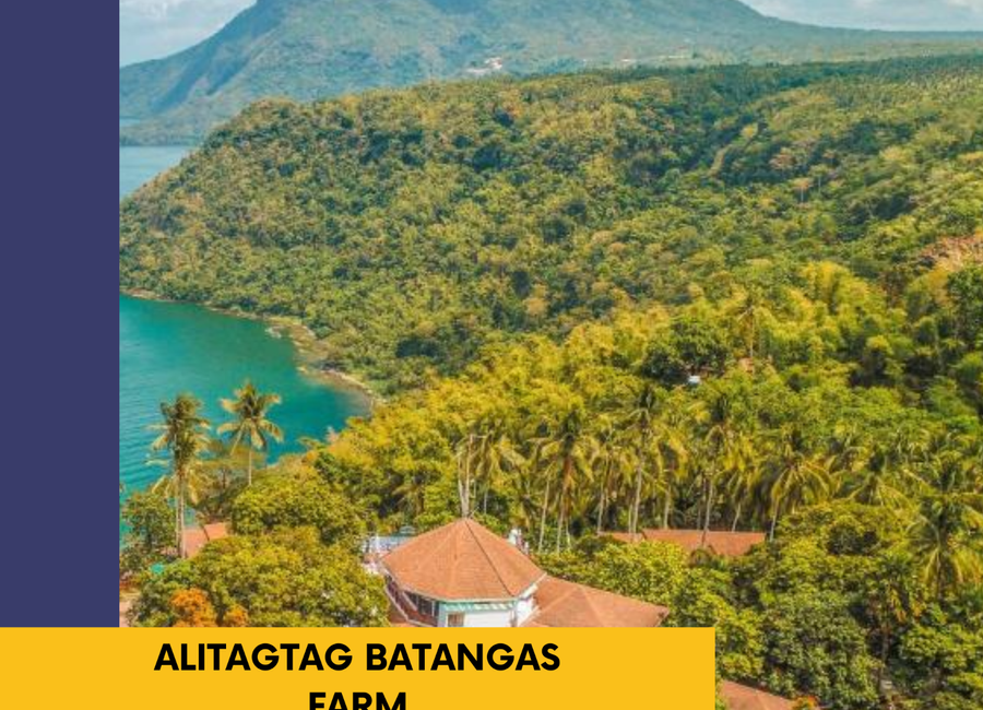 Residential Farm For Sale in Alitagtag Batangas City