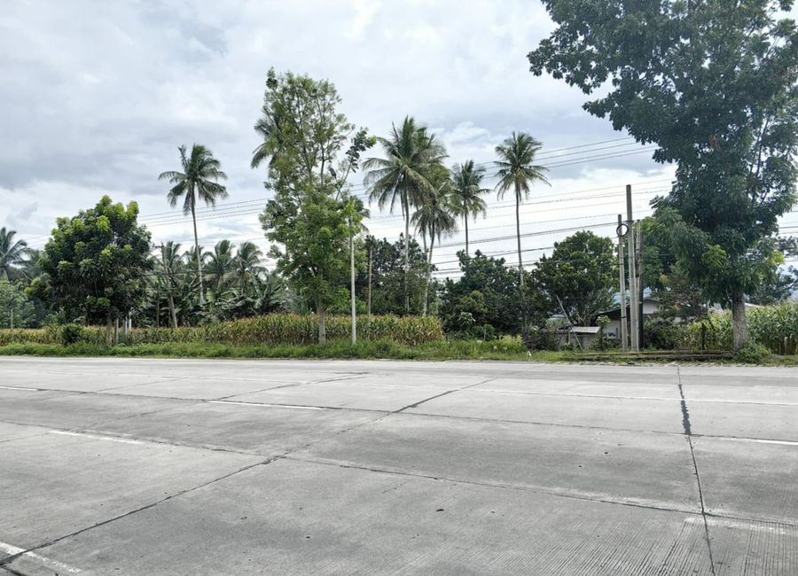 POLOMOLOK SOUTH COTABATO ALONG NATIONAL HIGHWAY