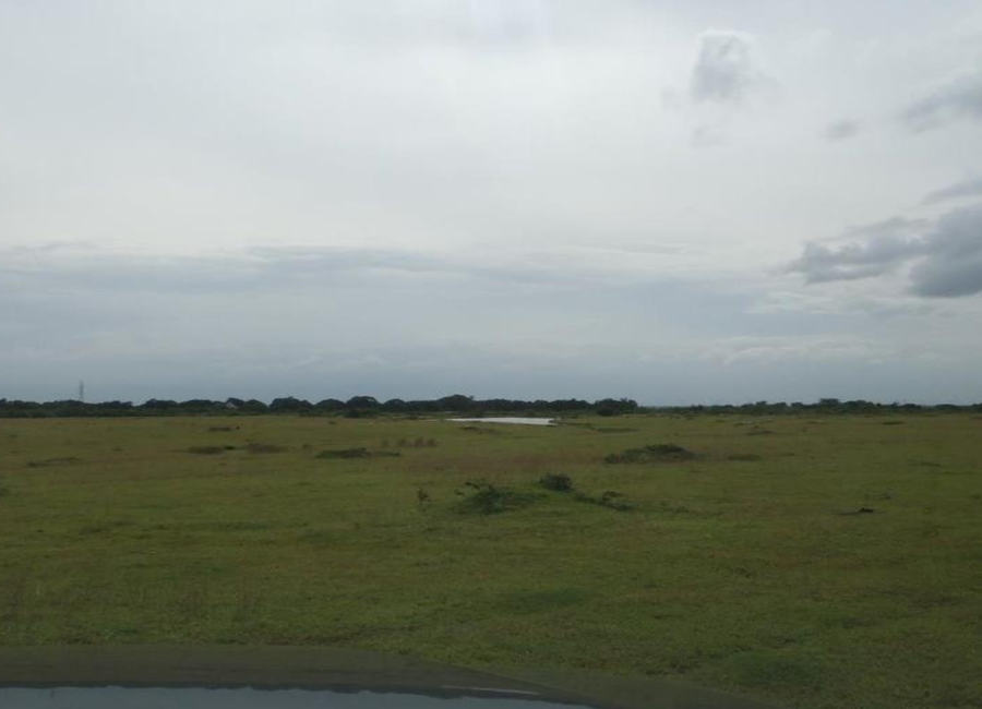 LOT FOR SALE: 600sqm Greenside Residential Lot in Imus, Cavite ...