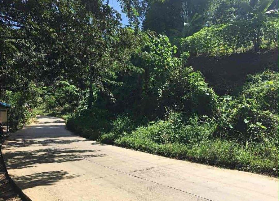 1.5 Hectares lot for sale in Cebu city