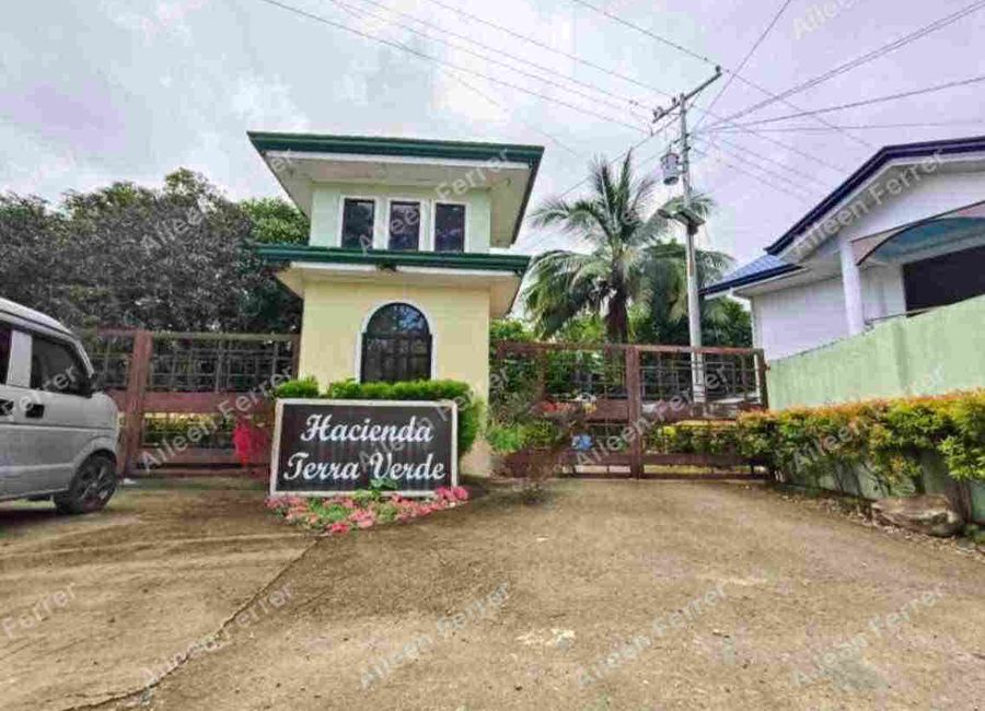 TITLED FARM LOT SUBDIVISION FOR SALE IN BALAMBAN, CEBU