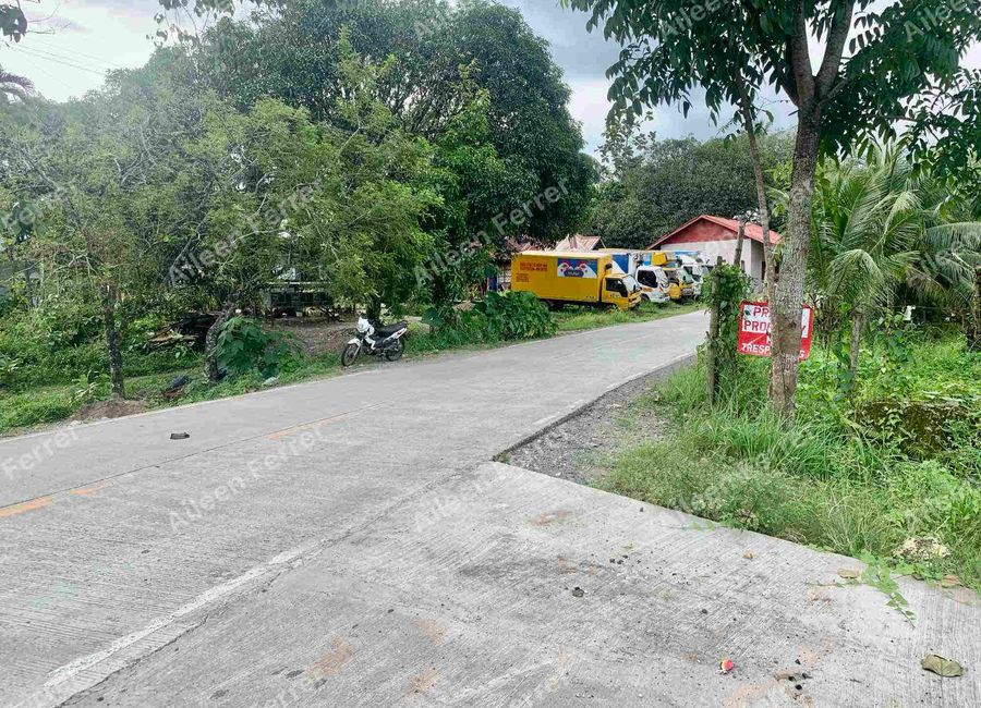 TITLED FARM LOT SUBDIVISION FOR SALE IN BALAMBAN, CEBU