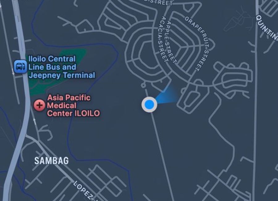 Prime Real Estate Opportunities in Iloilo City