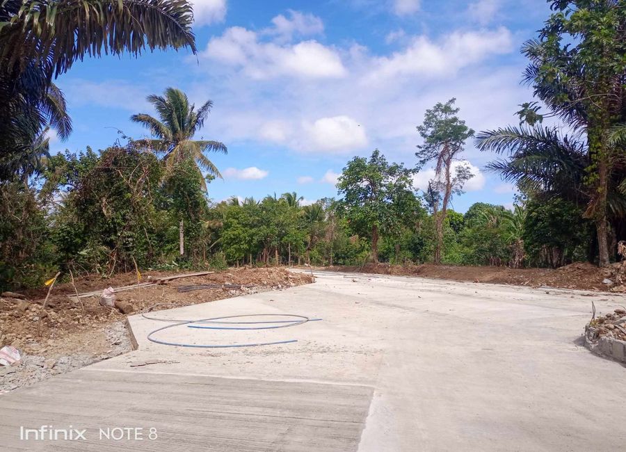Affordable Retirement Farm Lots for SALE near Abagatan Ti Manila with ...