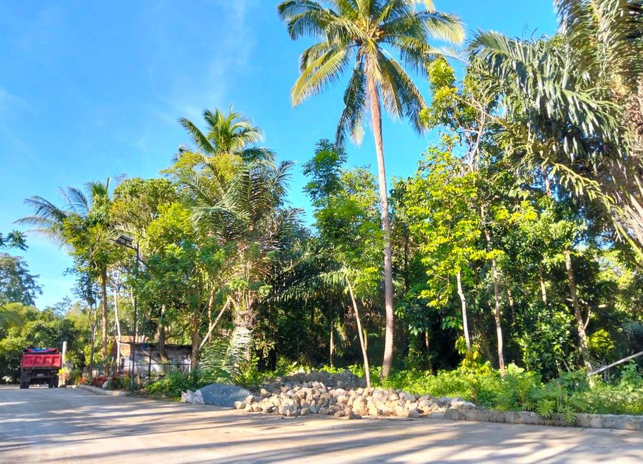 Affordable Retirement Farm Lots for SALE near Abagatan Ti Manila with ...
