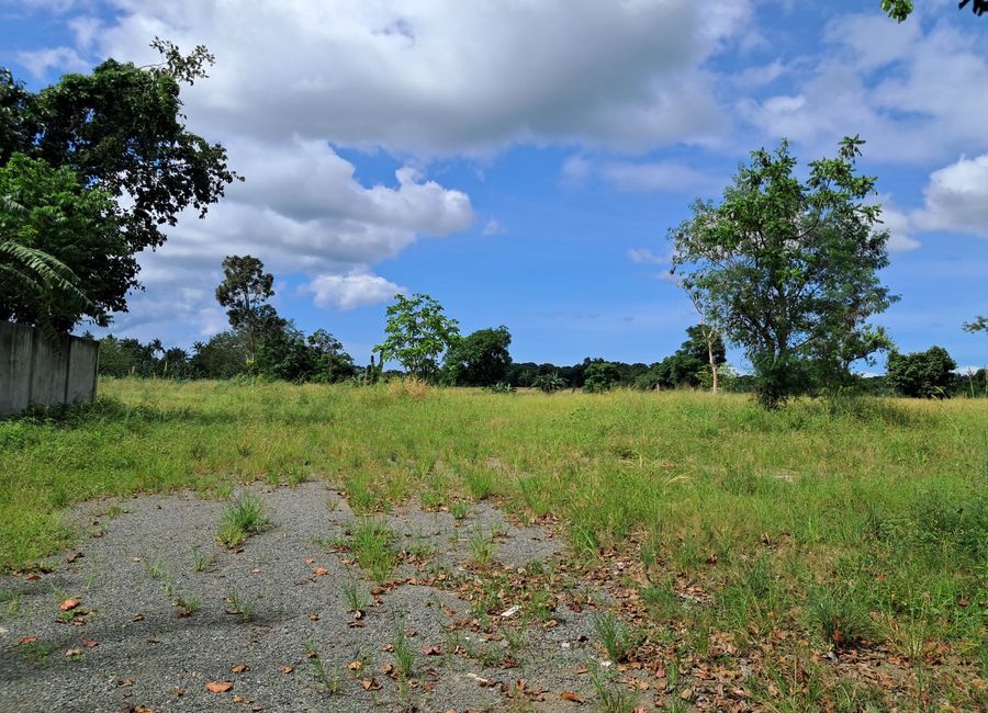 7 hectare lot for rent in Cebu