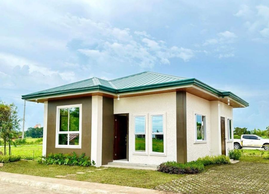 FOR SALE! Single Detached Bungalow house and Lot in Brgy Rizal Silay ...