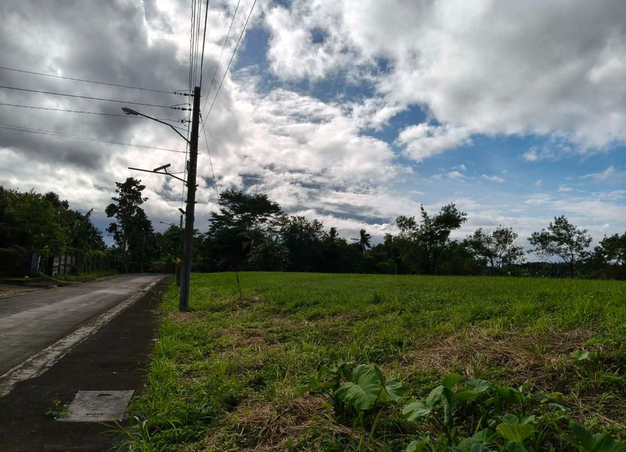 786 sqm lot in Hacienda Santa Monica Lipa city facing East