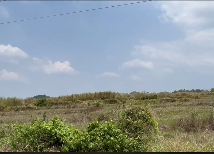 Farm Lot For Sale in Tarlac