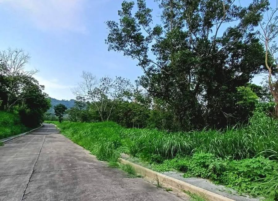 Residential Lot For Sale in Splendido-MC