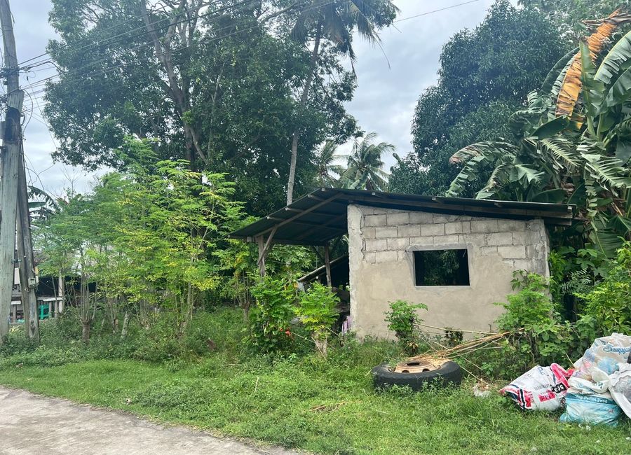 SEMI-COMMERCIAL LOT FOR SALE IN DAUIN ID 15063