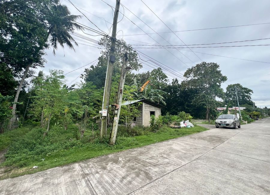 SEMI-COMMERCIAL LOT FOR SALE IN DAUIN ID 15063